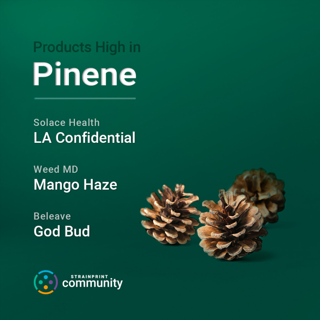 Understanding Terpenes: Pinene - Strainprint Technologies Inc.
