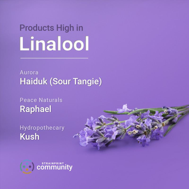 Linalool Allergy