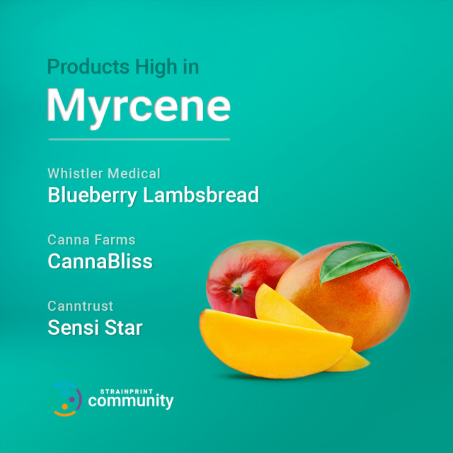 Understanding Terpenes: Myrcene - Strainprint Technologies Inc.
