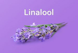 Understanding Terpenes: Linalool - Strainprint Technologies Inc.